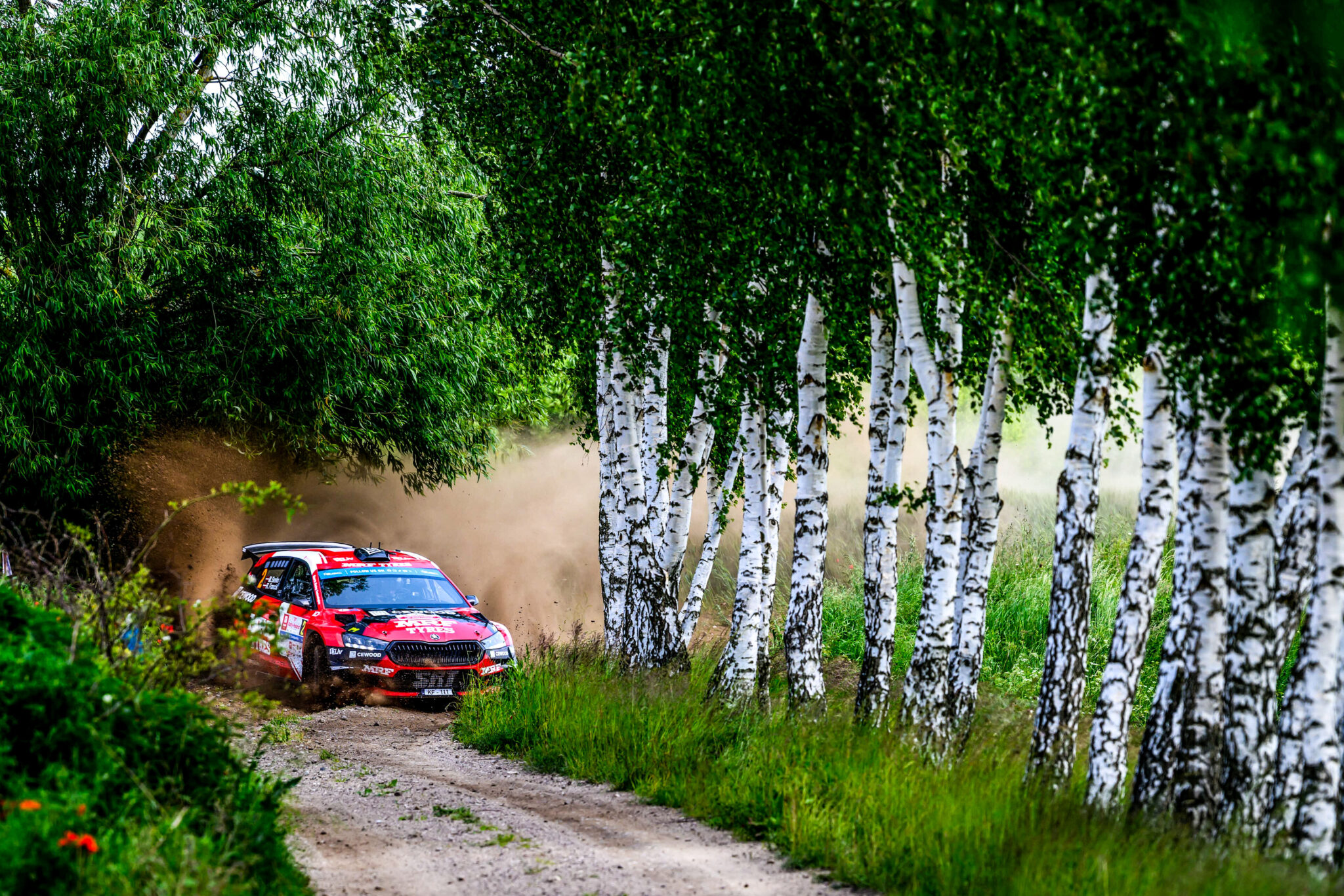 Rajd Polski 2025: Mārtiņš Sesks liderem po emocjonującym początku! » rallypl.com